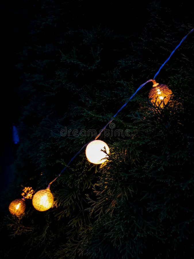 Small Glowing Light Balls Hanging on a Tree Stock Photo - Image of ...