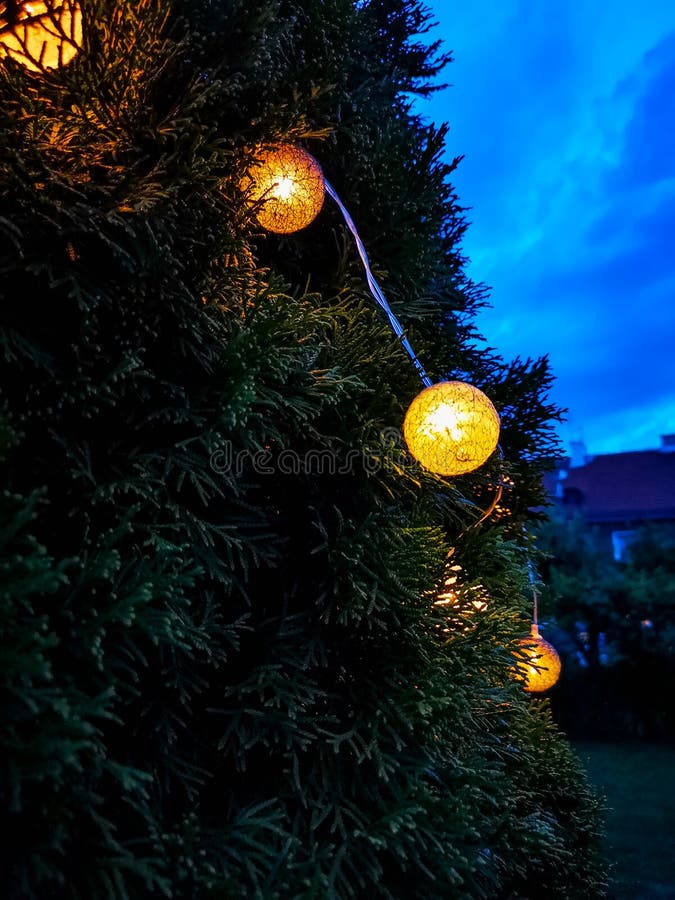 Small Glowing Light Balls Hanging on a Tree Stock Image - Image of ...