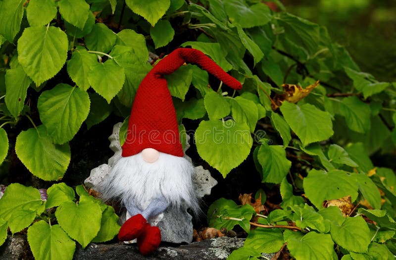 A Small Gnome with Red Cap Sitting on a Stone in a Garden Stock Image ...