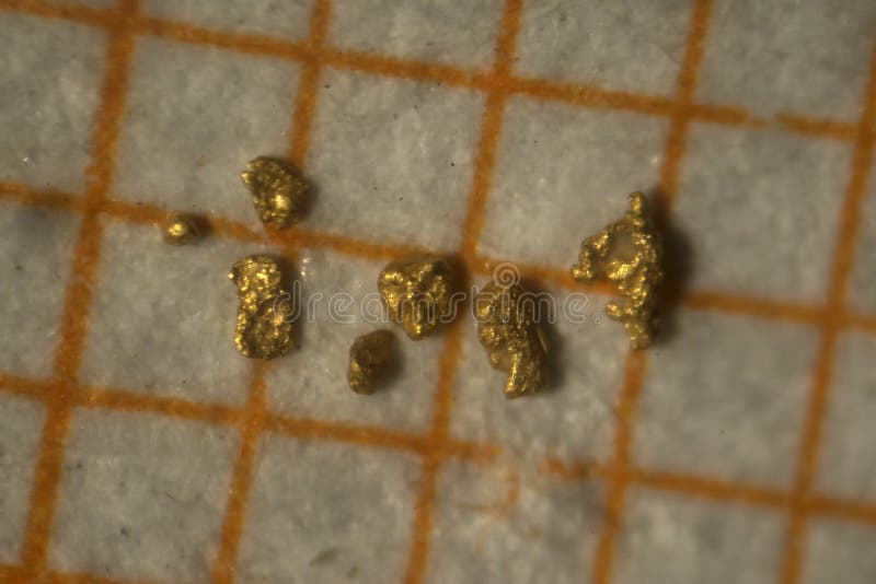 433 Gold Flake Paper Stock Photos - Free & Royalty-Free Stock Photos ...