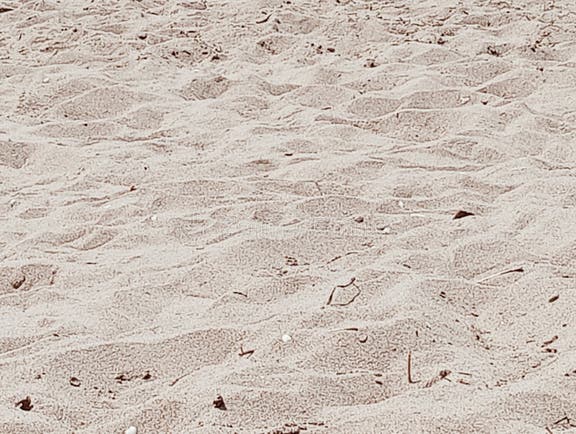 Small Grain Sand Background Close-up of Beach Stock Photo - Image of ...