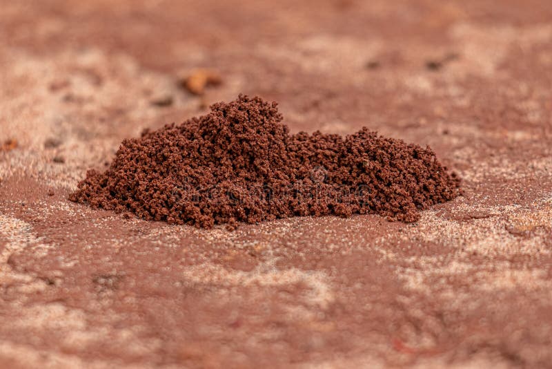 Small Grained Anthill Entrance Stock Photo - Image of granular, brown ...