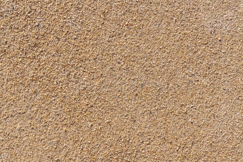 Small Grains of Natural Brown Almonds on a Marble Stone on a Gray ...