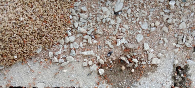 Small Gravel Fragments on the Casting Floor Stock Image - Image of sand ...