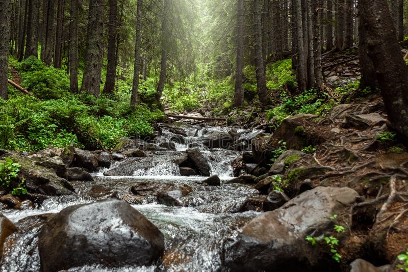 Small Green Forest Waterfall in the Cave Mountains, Cascades on a ...