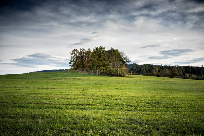 Small Green Hill with Trees and Meadows. Stock Photo - Image of ...
