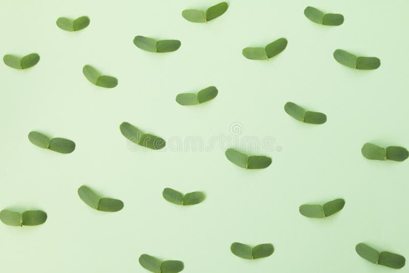 Small Green Leaves Pattern on Green Background Stock Image - Image of ...