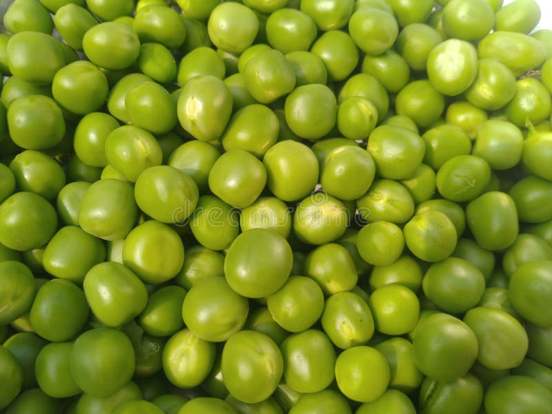 Small Green peas stock photo. Image of dish, green, flower - 208734848