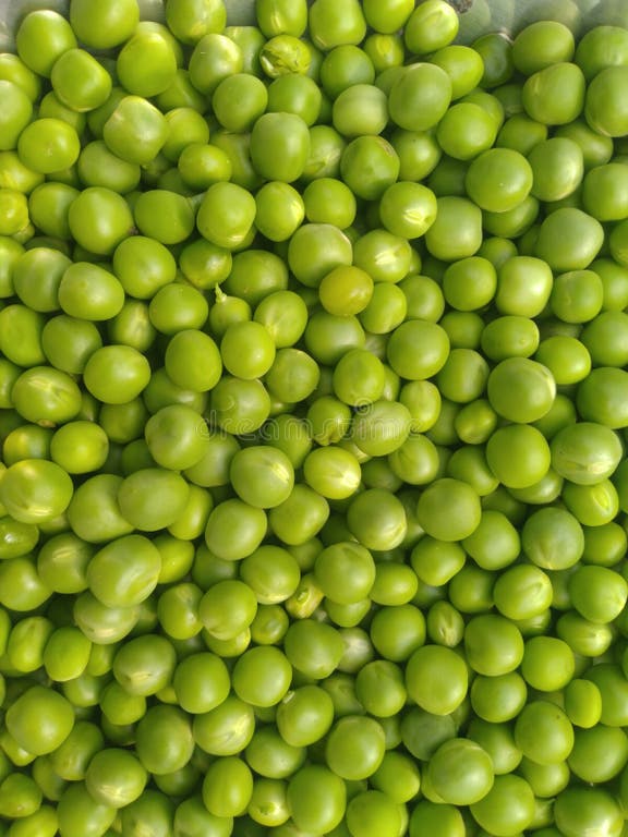 Small Green Peas stock image. Image of yellow, farm - 207331309