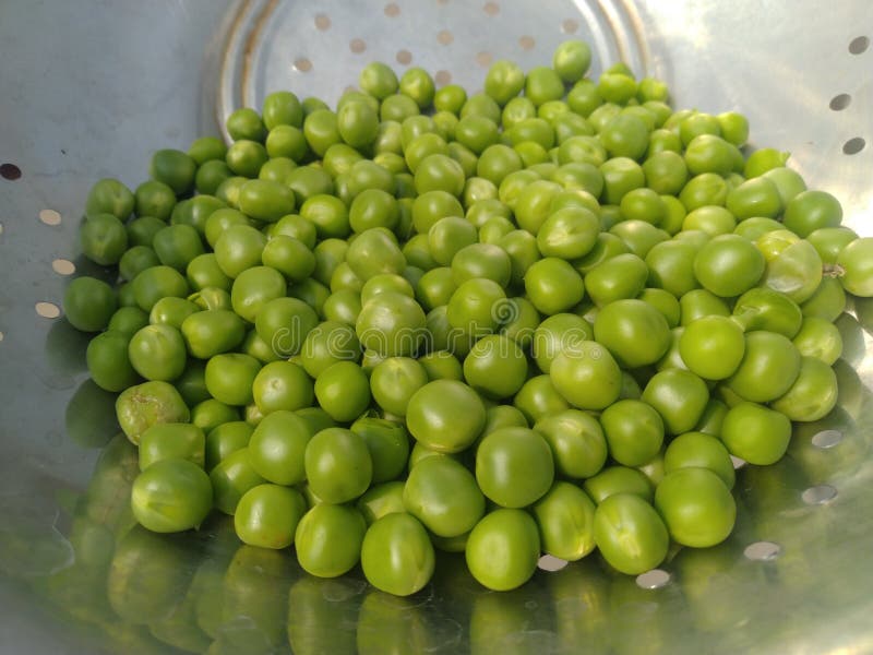 Small Green Peas stock photo. Image of food, produce - 208734826