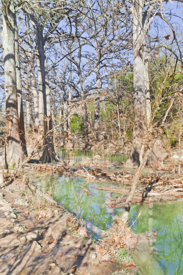 Small Green River at Hamilton Pool Stock Photo - Image of reflexive ...