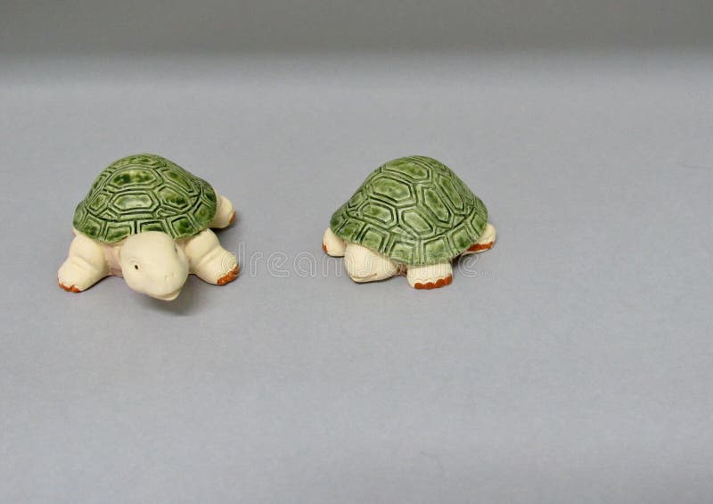 Small green turtles stock photo. Image of turtles, objects - 139550580
