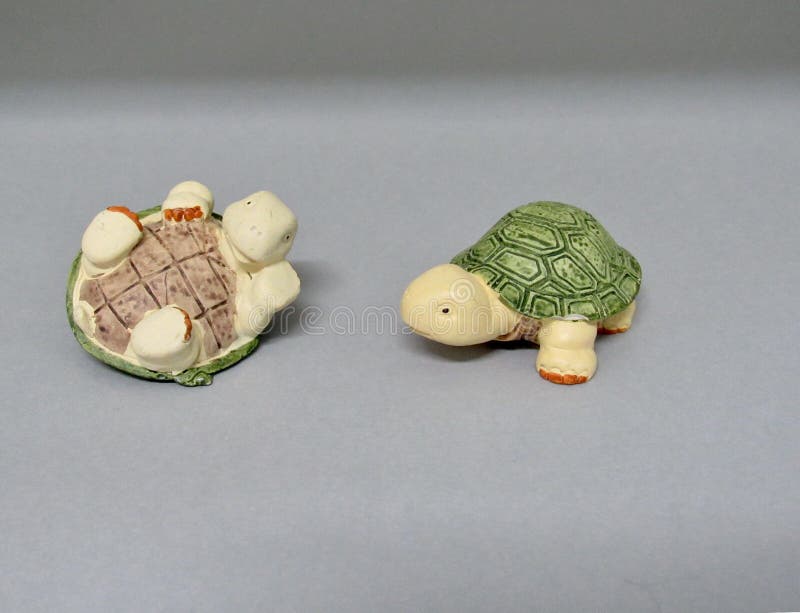 Small green turtles stock photo. Image of small, turtles - 139550614