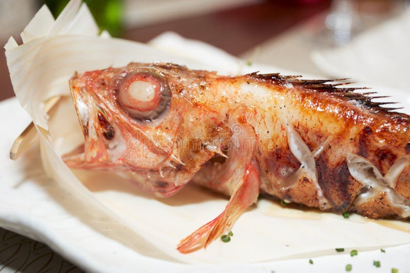 Small grilled fish stock image. Image of closeup, dieting - 12108783