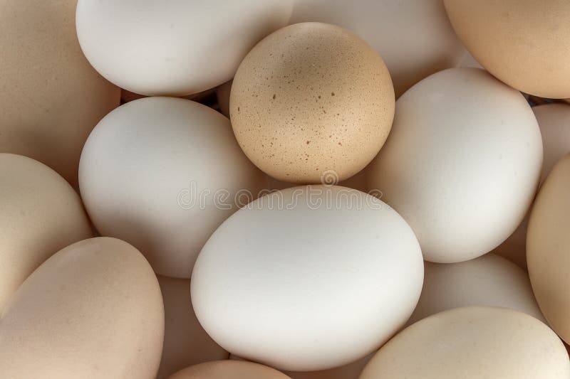 Small group of eggs stock photo. Image of closeup, cuisine - 67439102