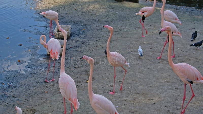 Small Group of People Makes a Pool Party. the Friends Having Fun To ...