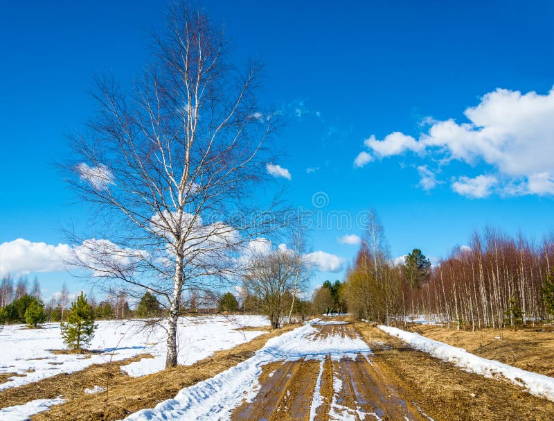 A Small Group of Tourists Goes on a Spring Dirt Road. Stock Image ...
