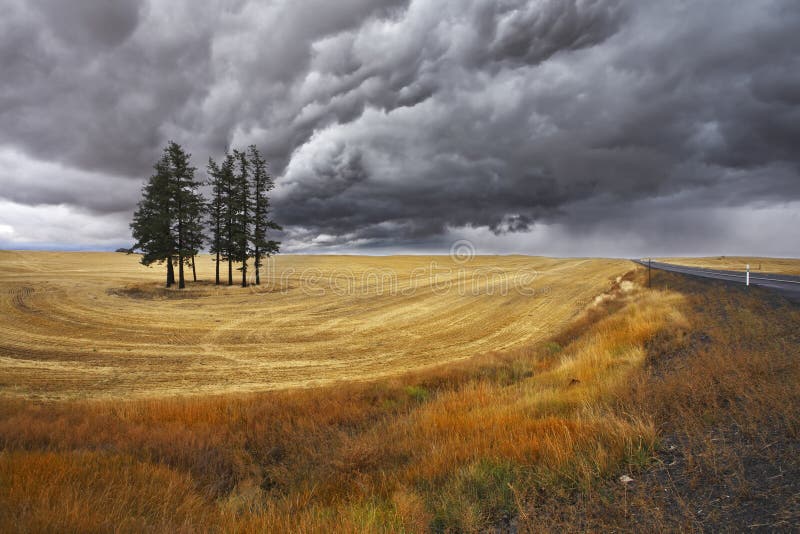 Small grove stock photo. Image of place, rocks, park, outdoors - 2471118