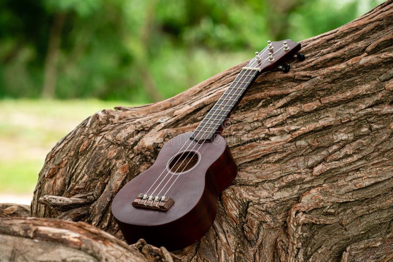 Small Guitar Ukulele in the Park on a Tree Stock Photo - Image of ...