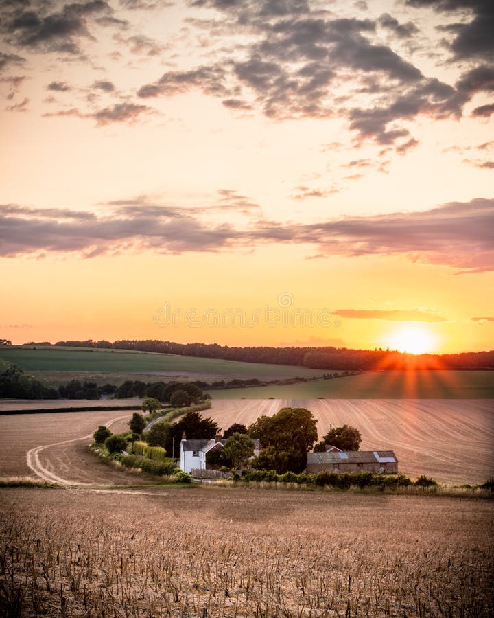 A Small Hamlet of Country Houses Surrounded by Wheat Fields St Sunset ...