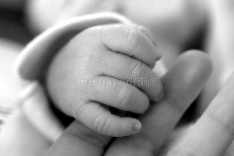 Small Hand stock image. Image of love, newborn, baby, black - 1048253