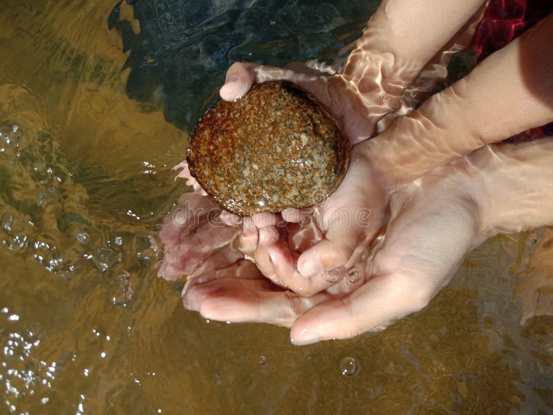 Small Hand of Magical stock photo. Image of small, hand - 165819706