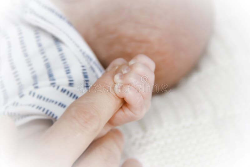 Small Hand of a Newborn Baby Stock Photo - Image of cradle, care: 195806494