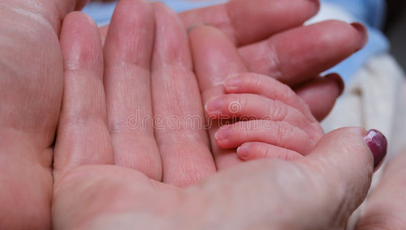 Small Hand of a Newborn Baby in a Female Hand Stock Image - Image of ...
