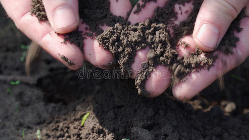 Small Handful of Land in Hands of Farmer Close-up Stock Video - Video ...