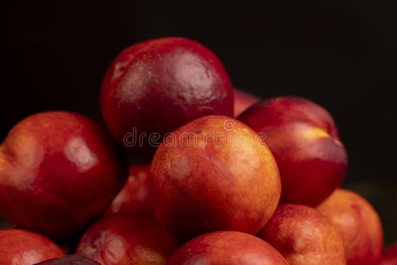 A Small Harvest of Ripe Washed Nectarines Stock Photo - Image of fruits ...