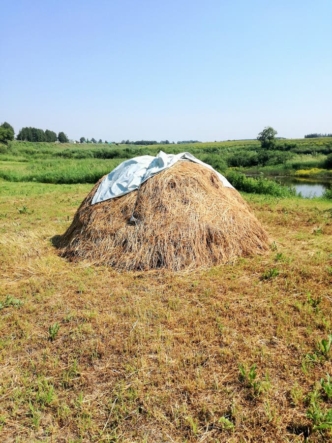 A small haystack closeup stock image. Image of farm - 151265639