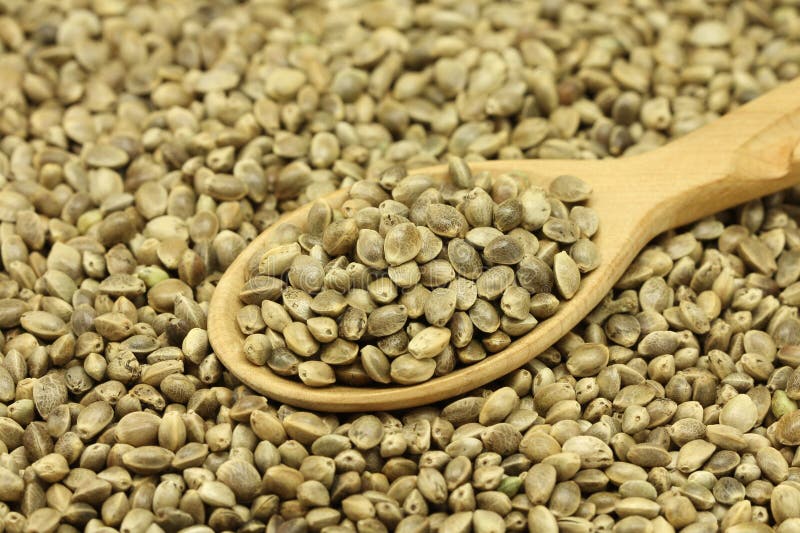 Small Hemp Seeds in a Spoon Background Stock Photo - Image of ...