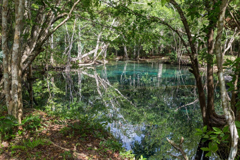Small Hidden Lagoon in the Forest Stock Image - Image of turquoise ...
