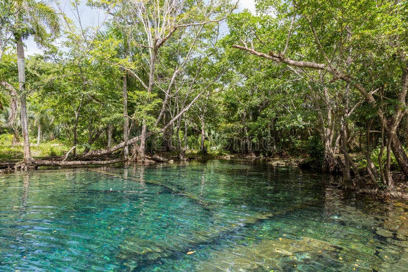 Small Hidden Lagoon in the Forest Stock Photo - Image of stones ...