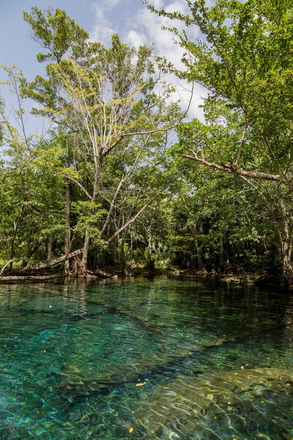 Small Hidden Lagoon in the Forest Stock Image - Image of paradis, hides ...
