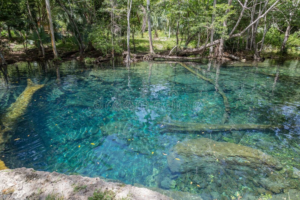 Small Hidden Lagoon in the Forest Stock Image - Image of turquoise ...