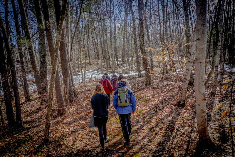 Small Hikers Group Walking in a Forest at Winter Stock Image - Image of ...
