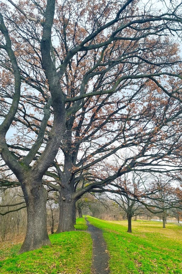 Small Hiking Trail Along a Mountain Ridge. Colorful Sunny Landscape ...