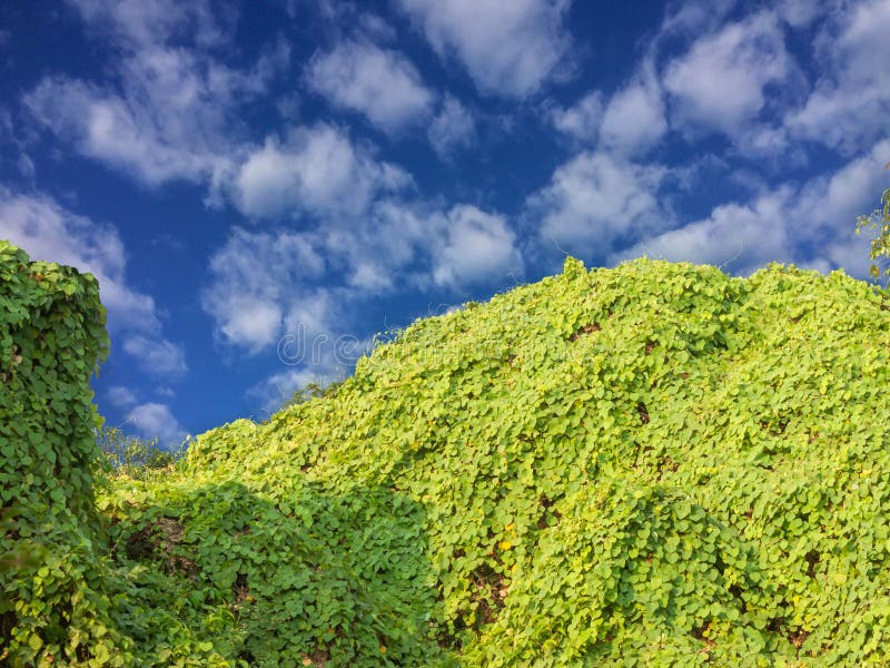 Small Hill and Blue Sky with Clouds. Stock Image - Image of mound ...