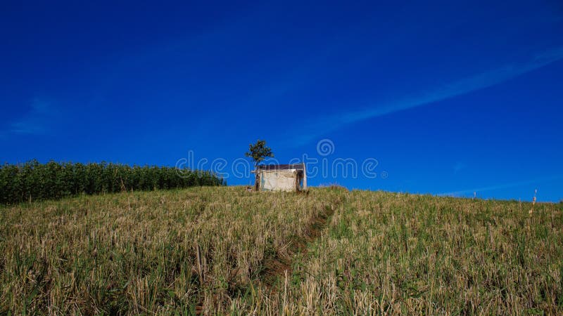 Hut in garden stock image. Image of farming, garden - 113655191