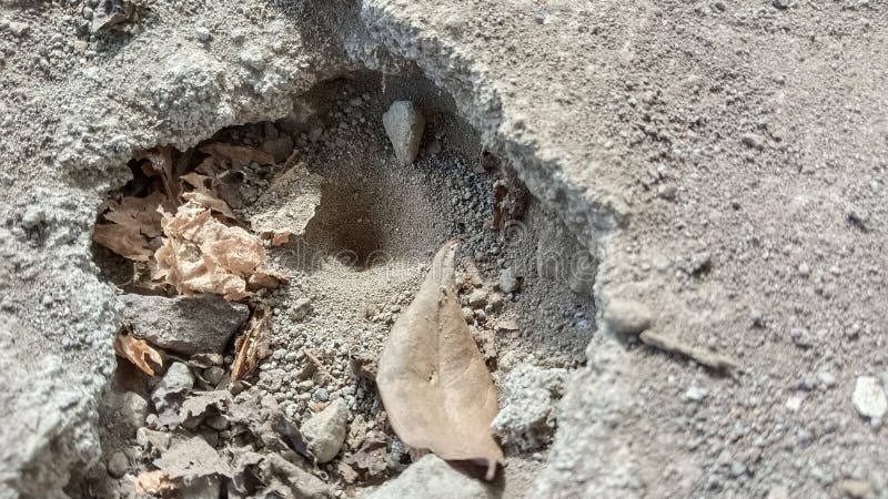 A Small Hole in the Ground with a Leaf and Other Debris Around it Stock ...