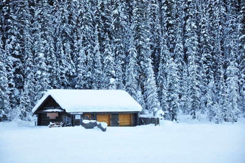 Small house stock photo. Image of still, homeless, weather - 13248246