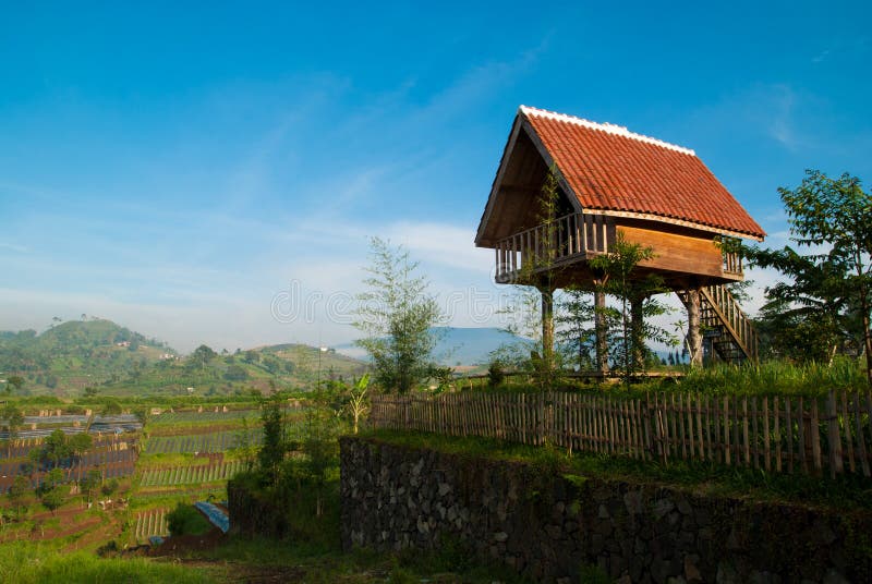 Small House in Phu Quoc Island in Vietnam. Stock Image - Image of plant ...