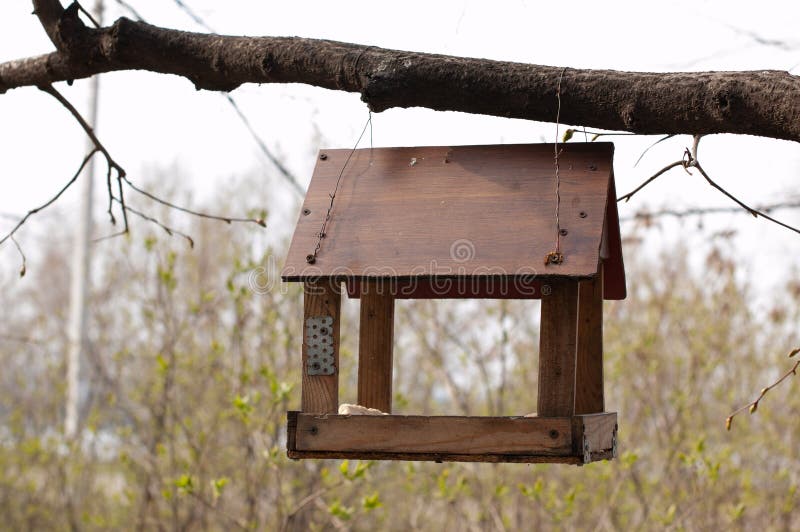 Small House for Birds - a Starling House Fixed on an Tree Stock Photo ...