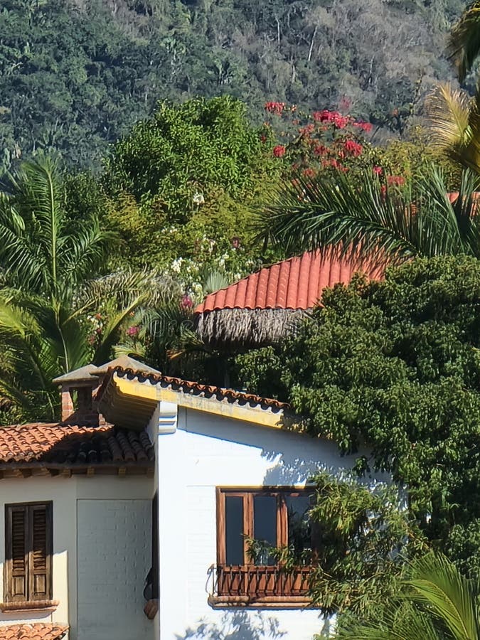 Living on the Edge of the Jungle. Stock Image - Image of village ...