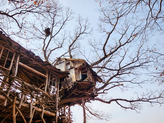 A Small House Built on a Tree Stock Photo - Image of transport, iron ...