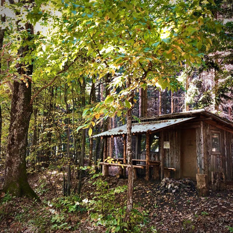 Small house in the forest stock image. Image of beautiful - 258641887