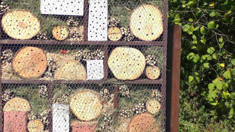 Insect House. Insect House at Sunset. Bug Hotel at the Park in ...