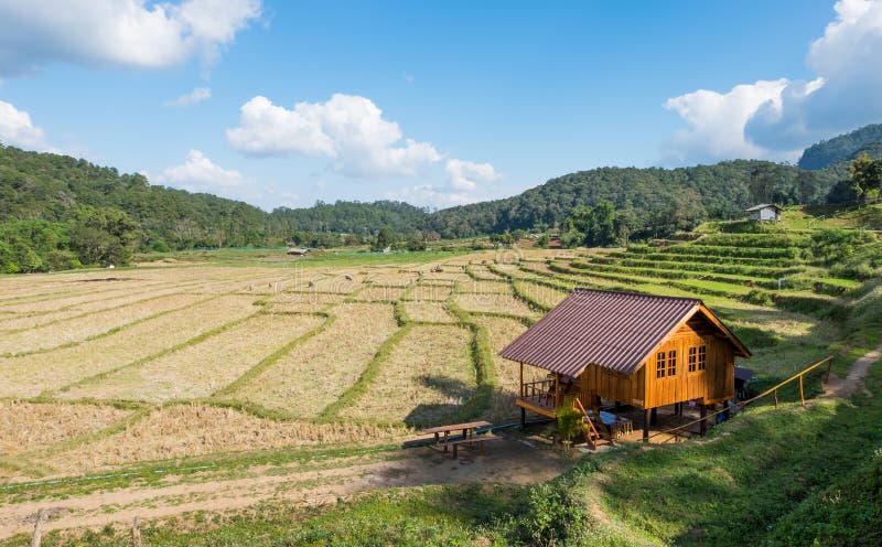 Small House Field Stock Photos - Download 14,887 Royalty Free Photos