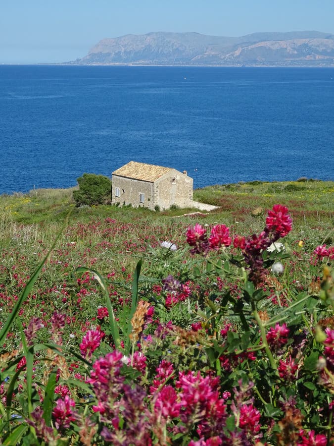 Small house near the sea stock photo. Image of grass - 75616288